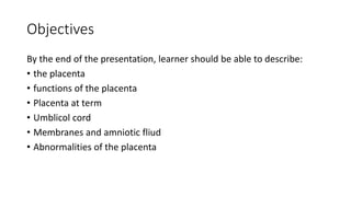 THE PLACENTA (1).pdf