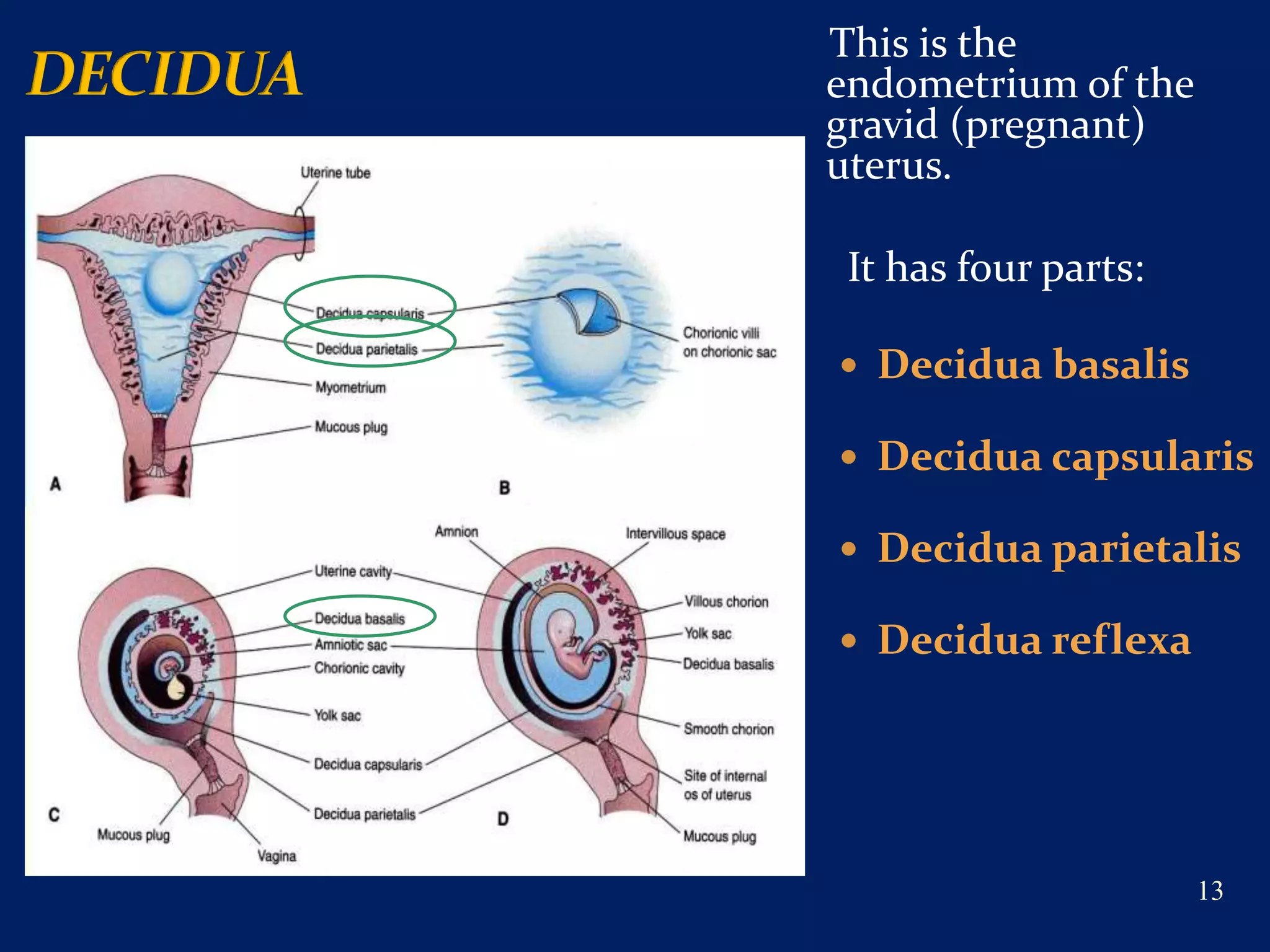 The placenta and fetal membranes | PPTX