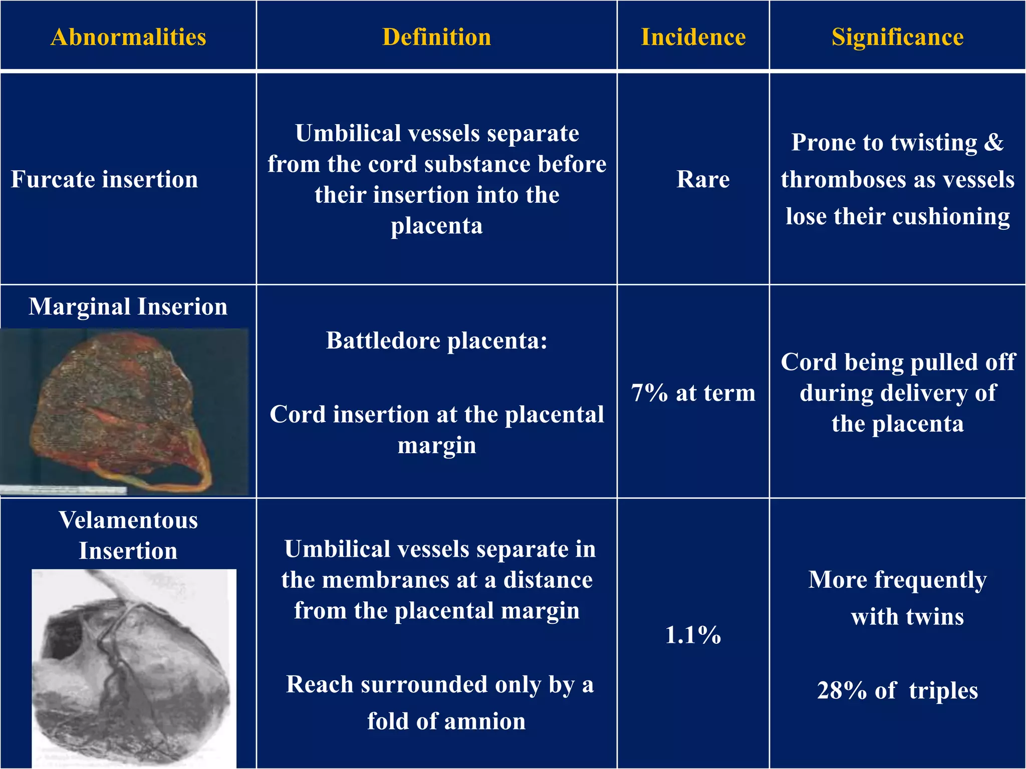 The placenta and fetal membranes | PPTX