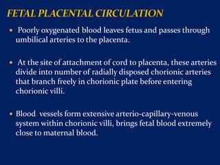 The placenta and fetal membranes | PPTX