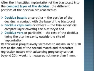 The Placenta and Fetal Membranes.pptx