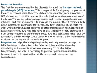 The Placenta and Fetal Membranes.pptx