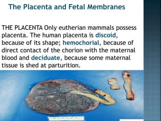 The Placenta and Fetal Membranes.pptx