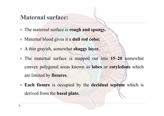 THE PLACENTA, FETAL MEMBRANES AND AMNIOTIC FLUID.pdf