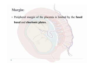 THE PLACENTA, FETAL MEMBRANES AND AMNIOTIC FLUID.pdf