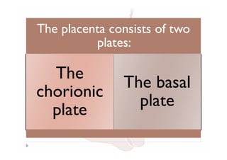 THE PLACENTA, FETAL MEMBRANES AND AMNIOTIC FLUID.pdf