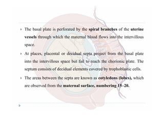 THE PLACENTA, FETAL MEMBRANES AND AMNIOTIC FLUID.pdf
