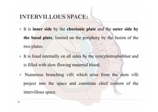THE PLACENTA, FETAL MEMBRANES AND AMNIOTIC FLUID.pdf