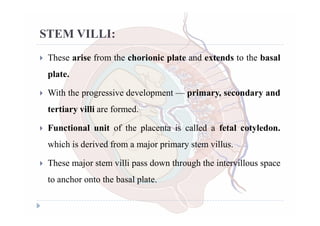 THE PLACENTA, FETAL MEMBRANES AND AMNIOTIC FLUID.pdf