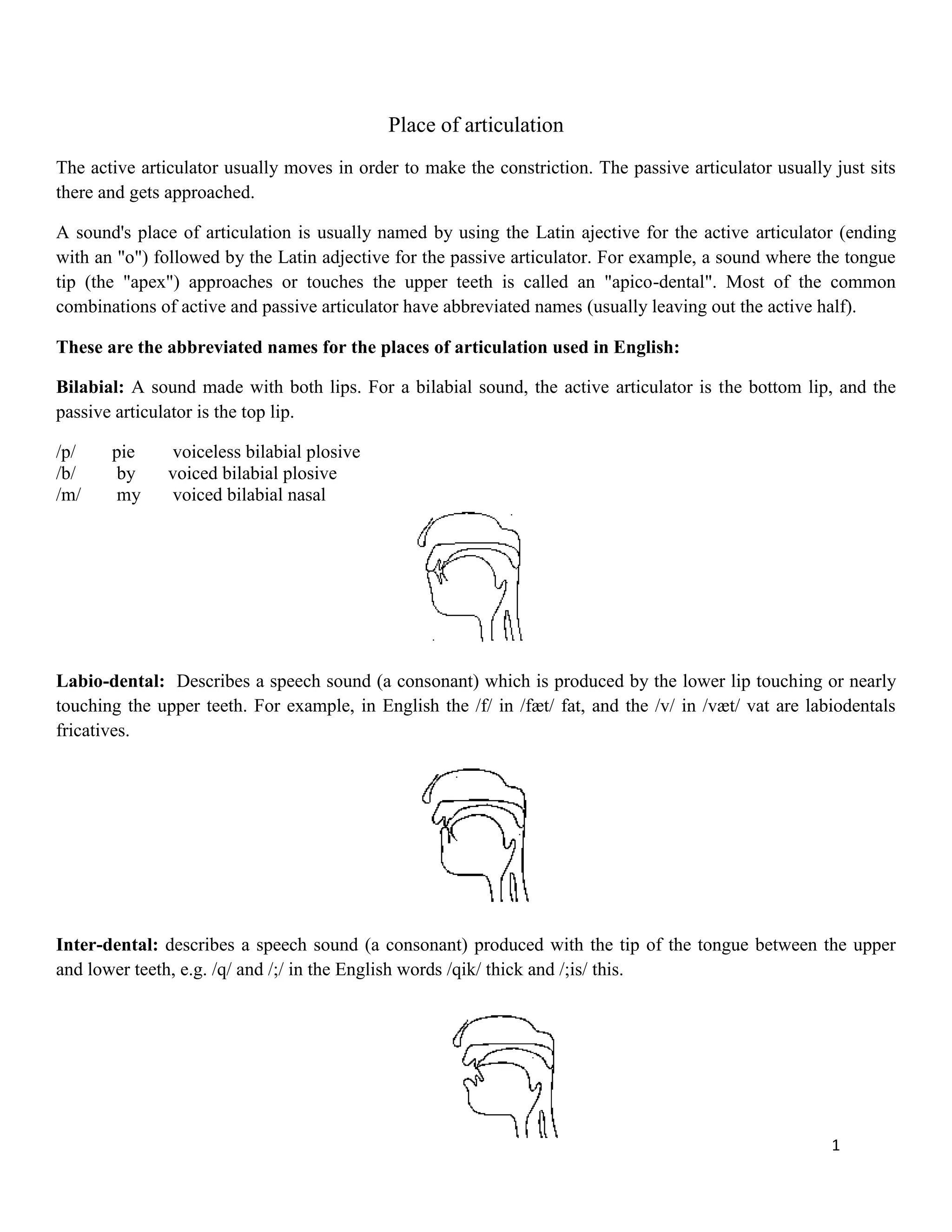 The place of articularors | DOCX