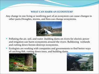 The planet earth | PPT