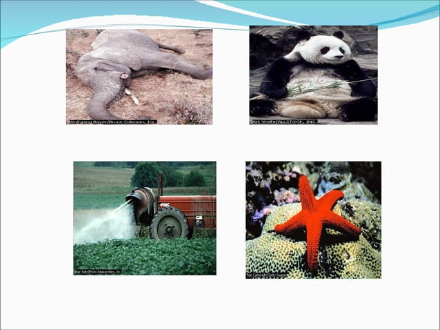 The planet earth | PPT