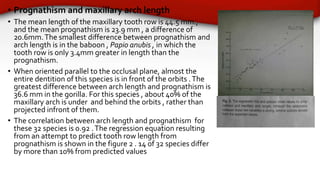 The Plan of the Human Face in orthodontics .pptx