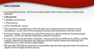 The Plan of the Human Face in orthodontics .pptx