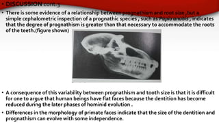 The Plan of the Human Face in orthodontics .pptx