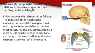 The Plan of the Human Face in orthodontics .pptx
