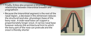 The Plan of the Human Face in orthodontics .pptx