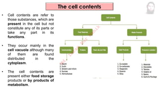 The Plant Cell (Pharmacognosy) MANIK | PDF