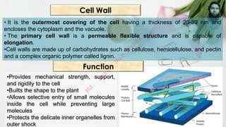 The Plant Cell (Pharmacognosy) MANIK | PDF