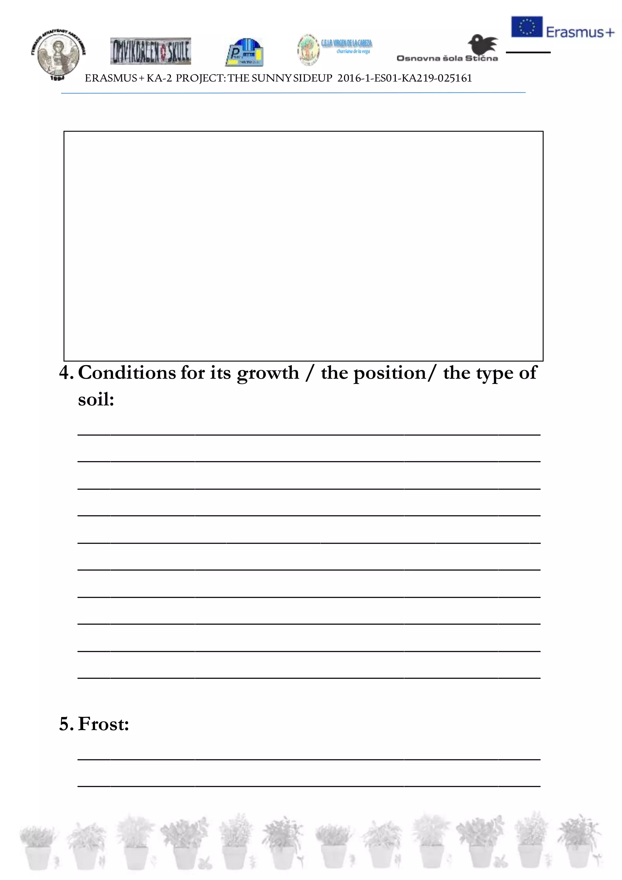 The plant diary in english | PDF