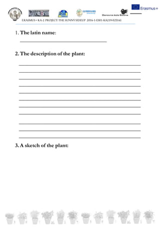 The plant diary in english | PDF