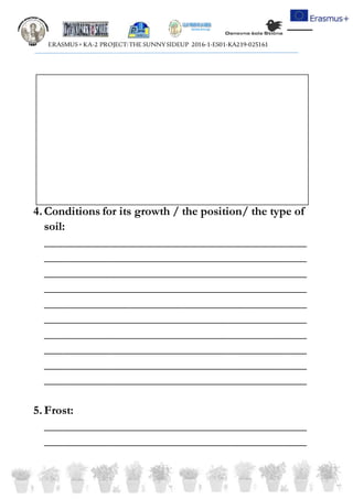 The plant diary in english | DOCX