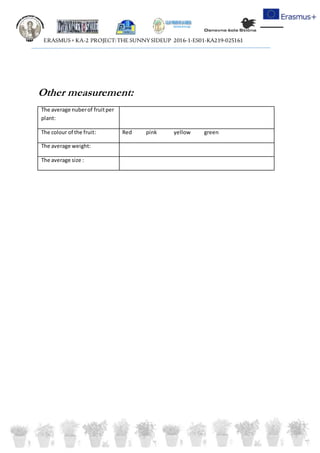 The plant diary in english | PDF