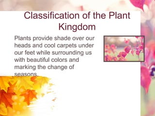 The plant kingdom | PPT