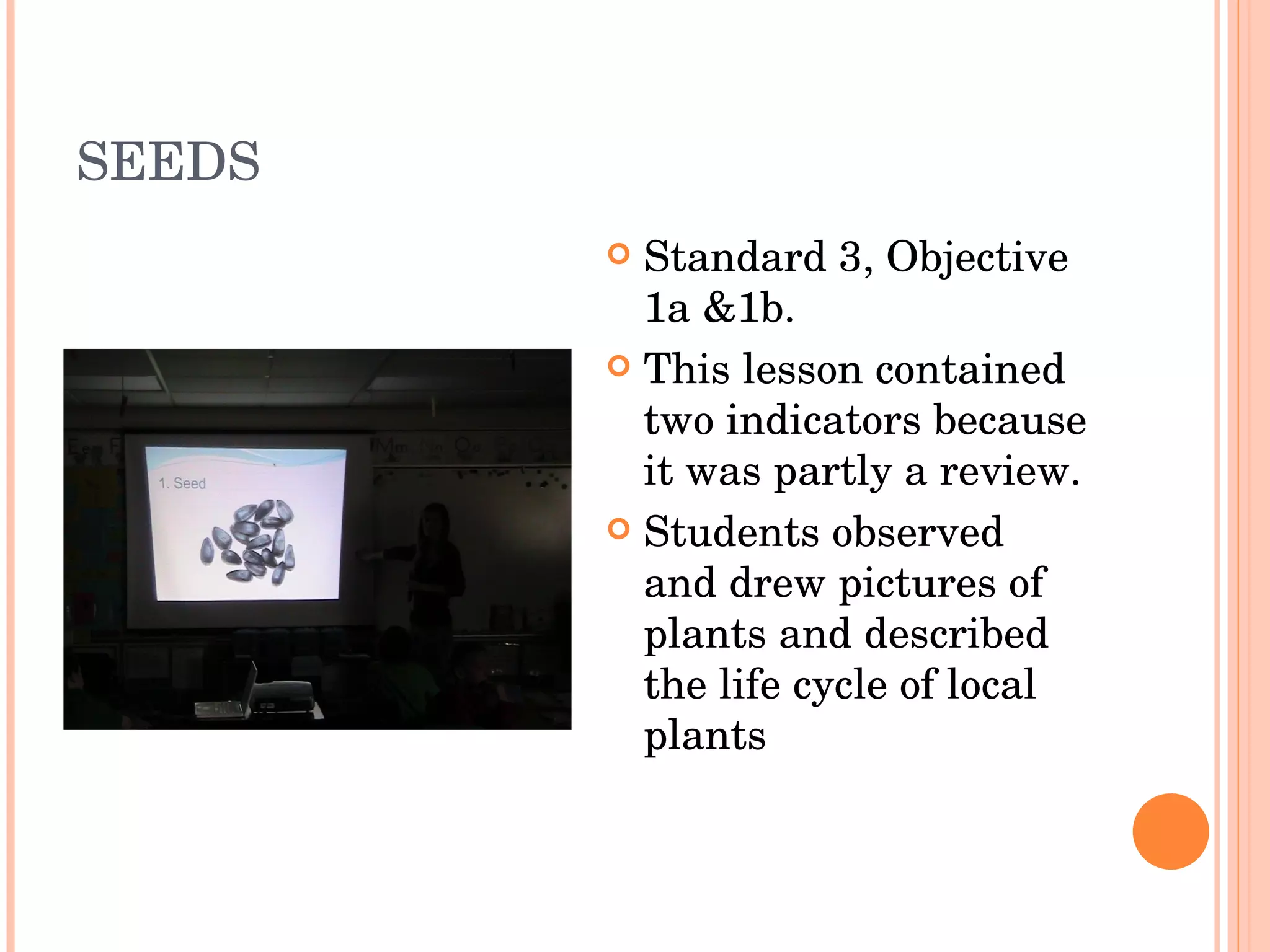 The Plant Life Cycle | PPT