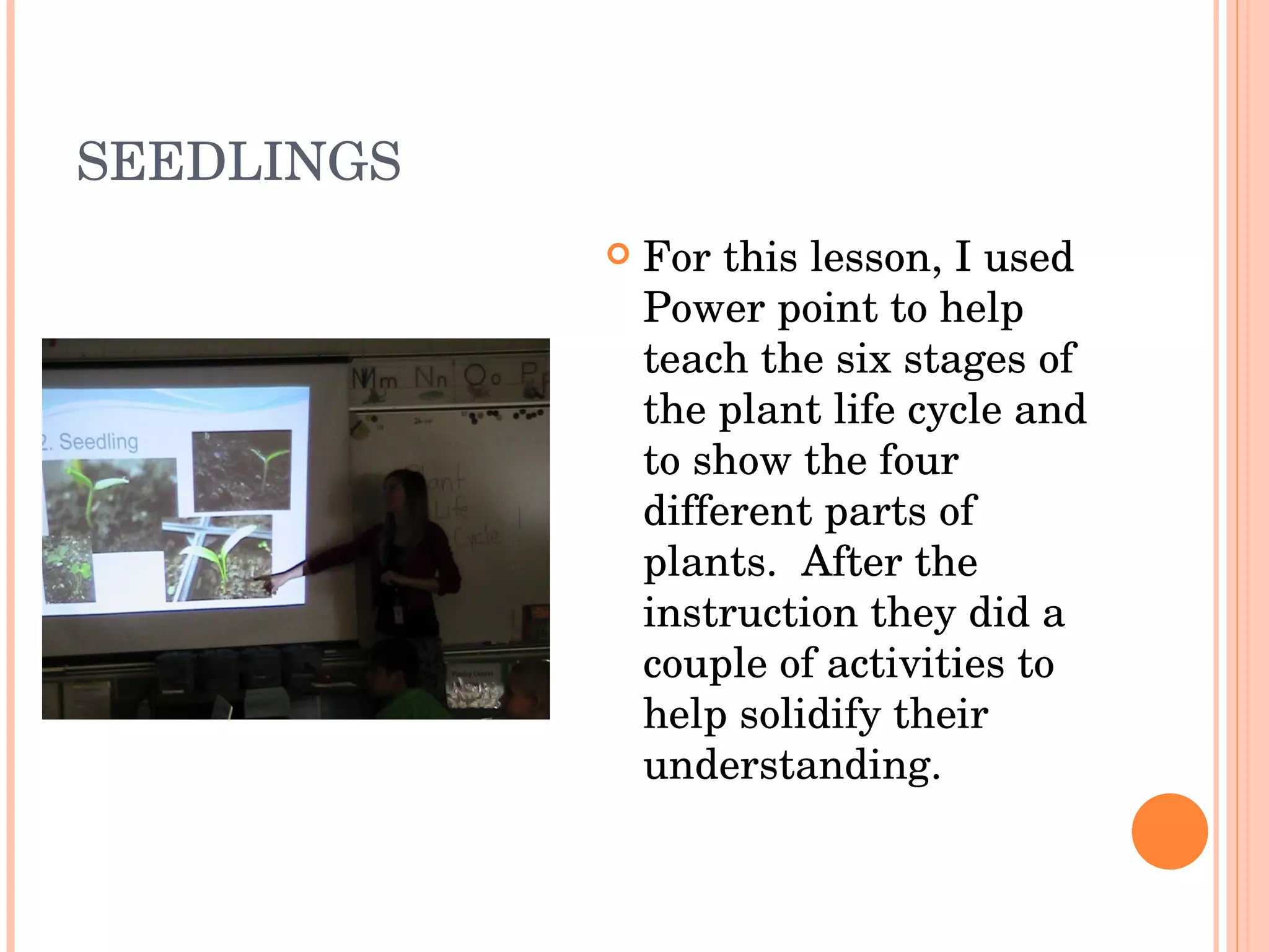 The Plant Life Cycle | PPT