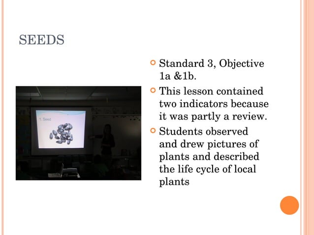 The Plant Life Cycle | PPT