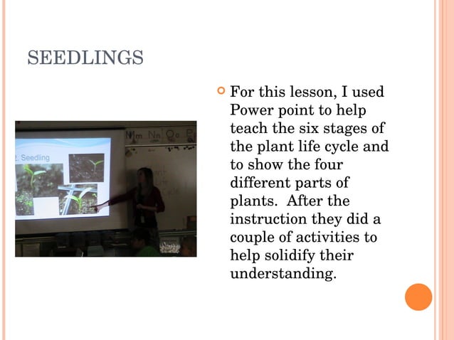 The Plant Life Cycle | PPT