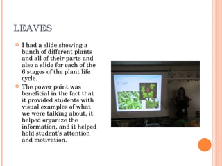 The Plant Life Cycle | PPT