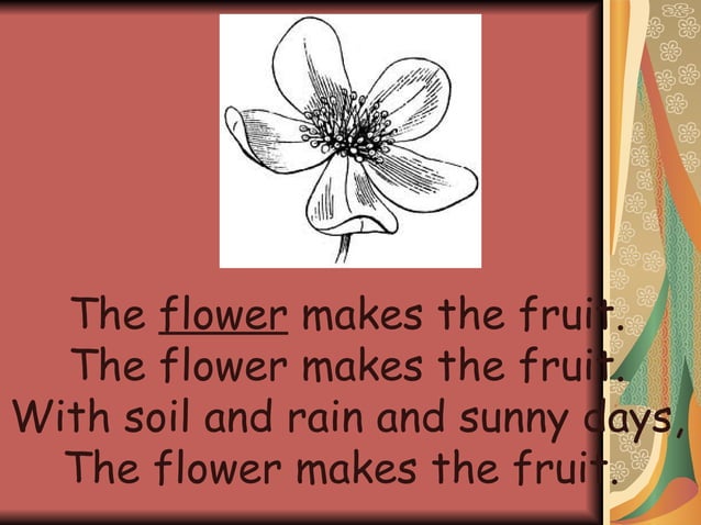 The Plant Part Song | PPT