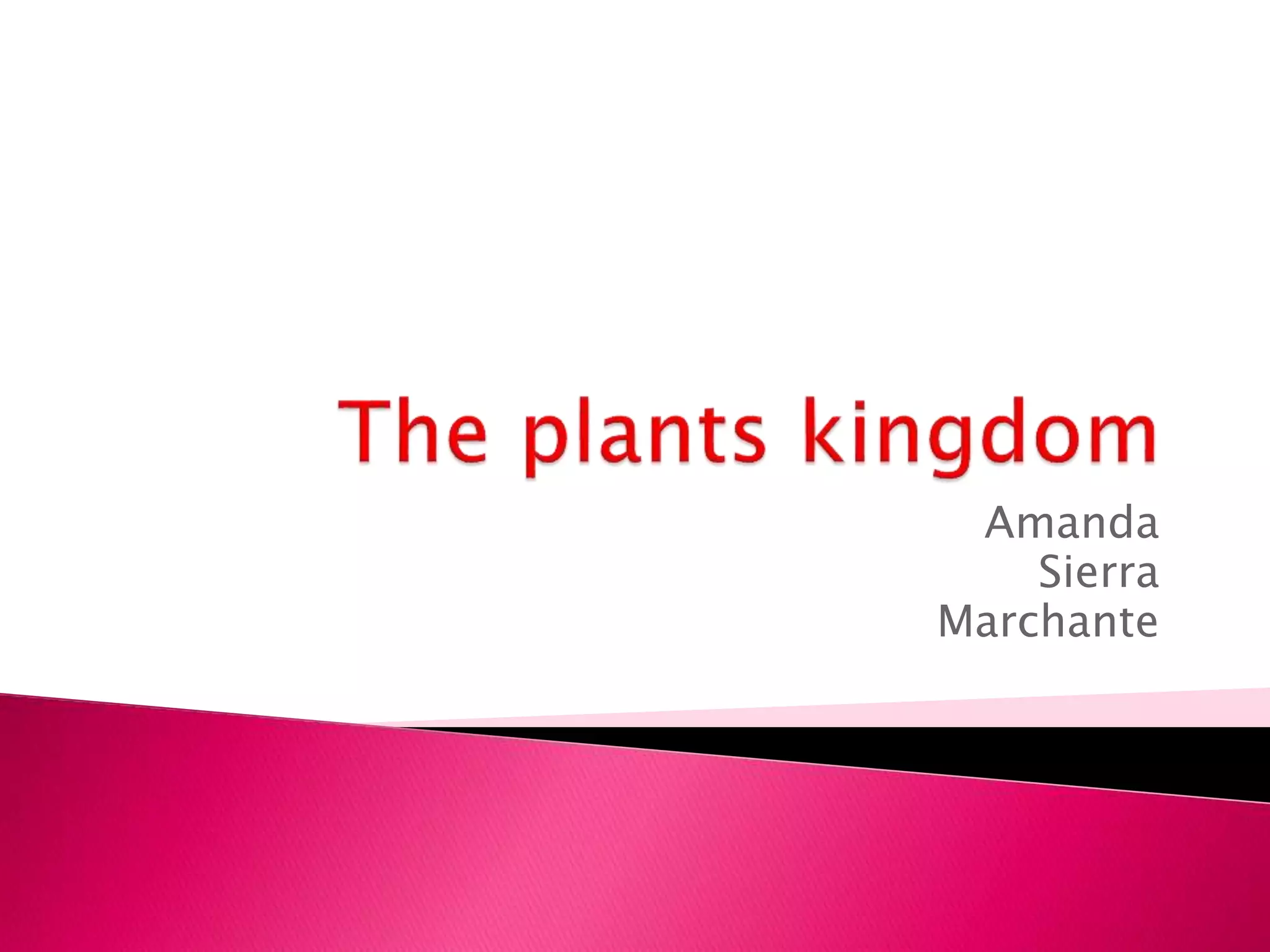 The plants kingdom | PPT