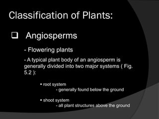 The plant’s way of life | PPT