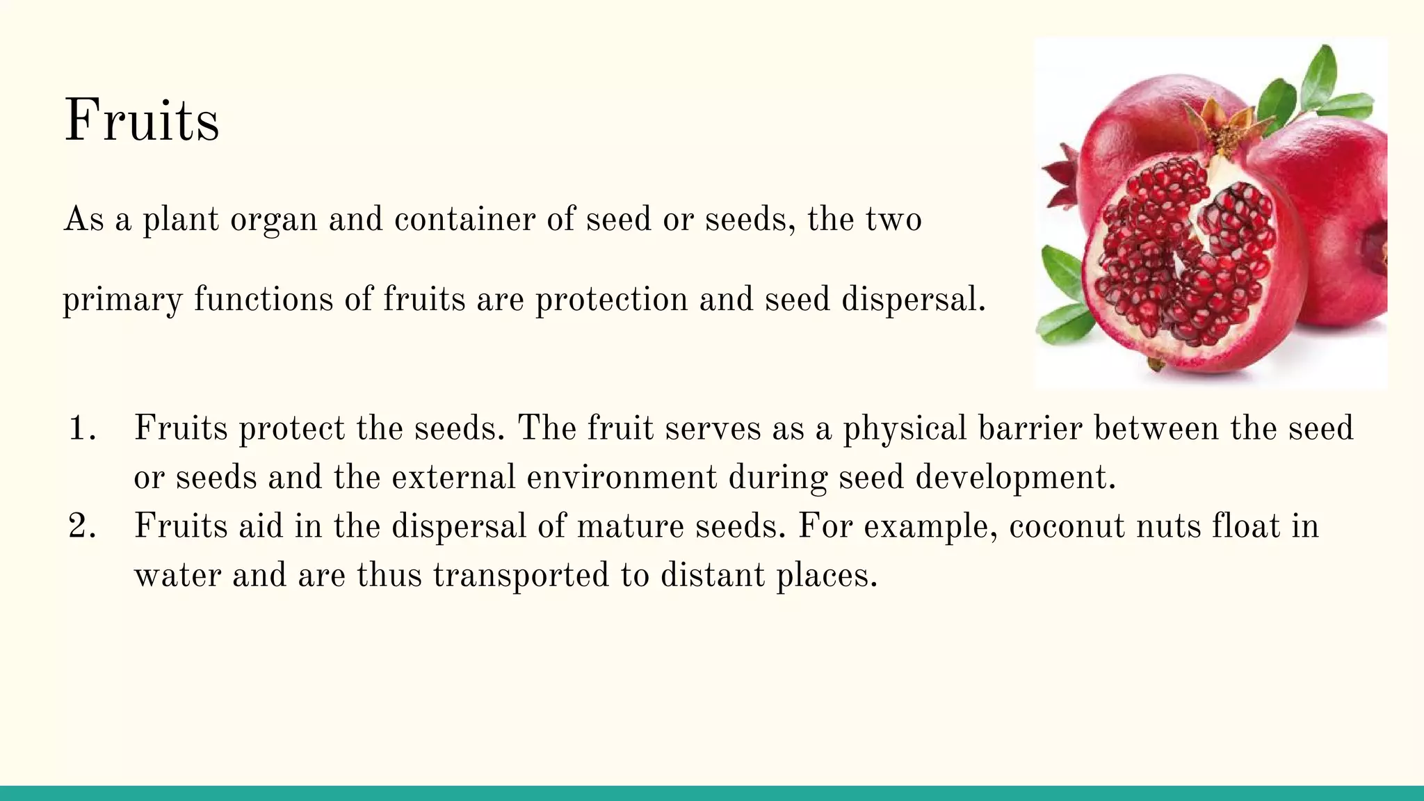 The plant system | PDF