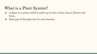 The plant system | PDF