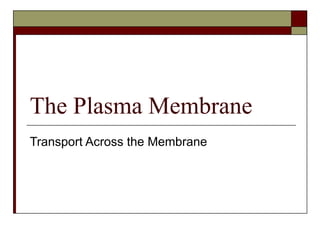 The_Plasma_Membrane - The_Plasma_Membrane | PPT