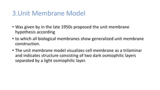 the Plasma Membrane models and accepted fluid mosaic model.pptx
