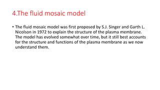 the Plasma Membrane models and accepted fluid mosaic model.pptx