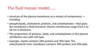the Plasma Membrane models and accepted fluid mosaic model.pptx