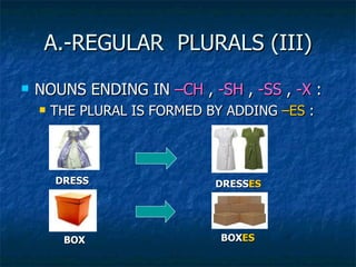 The plural | PPT