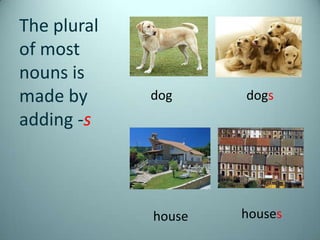 The plural | PPT