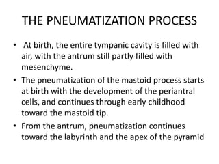 The pneumatic system of the temporal bone | PPTX