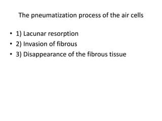 The pneumatic system of the temporal bone | PPTX