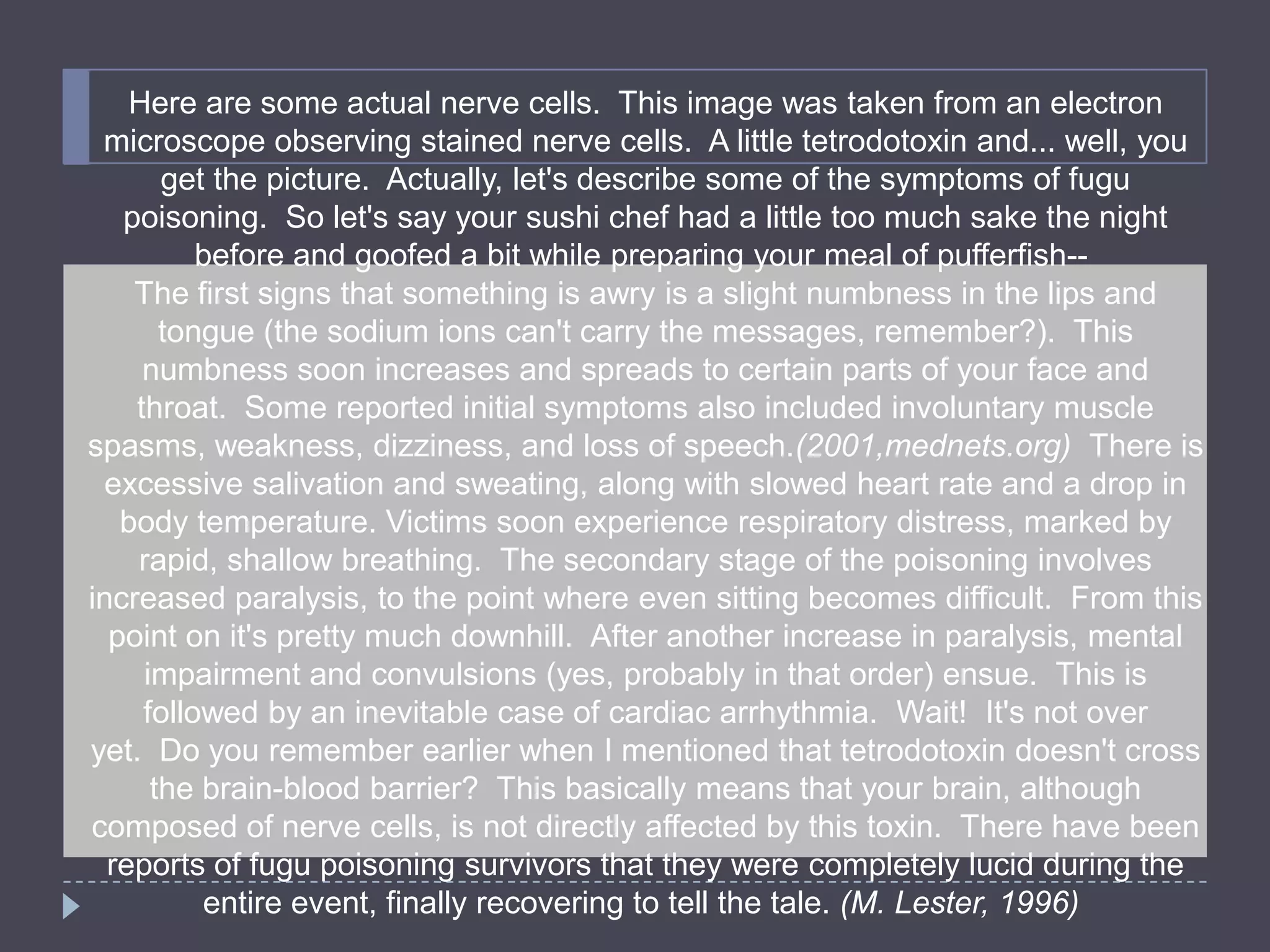 The Poisonous Puffer Fish - Chemistry | PPTX | Brain and Nervous System ...