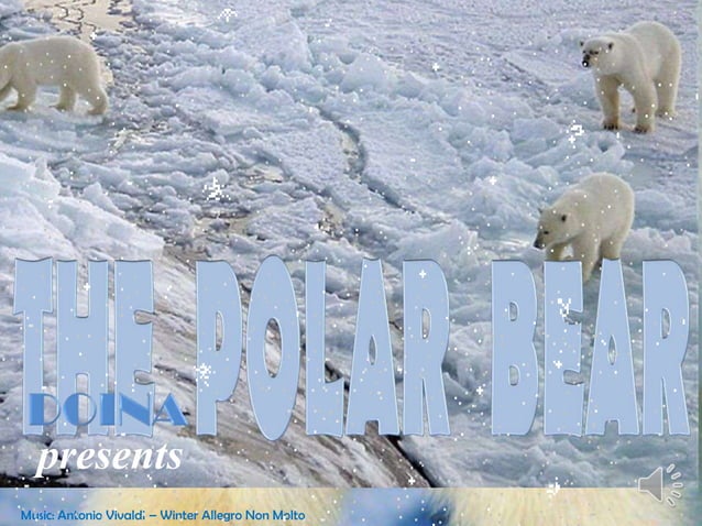 The Polar Bear (Slideshare 2010) | PPT