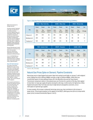 The polar vortex - implications for future investments | PDF