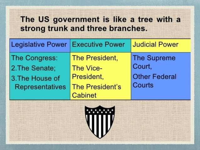 The political system of the USA | PPTX